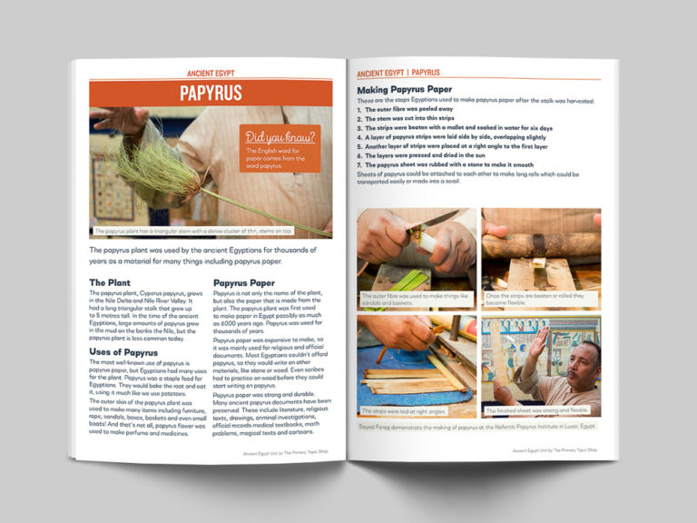 Making Papyrus Paper | Primary Topic Shop