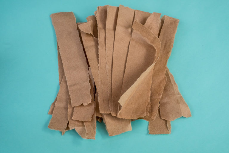 Making Papyrus Paper | Primary Topic Shop